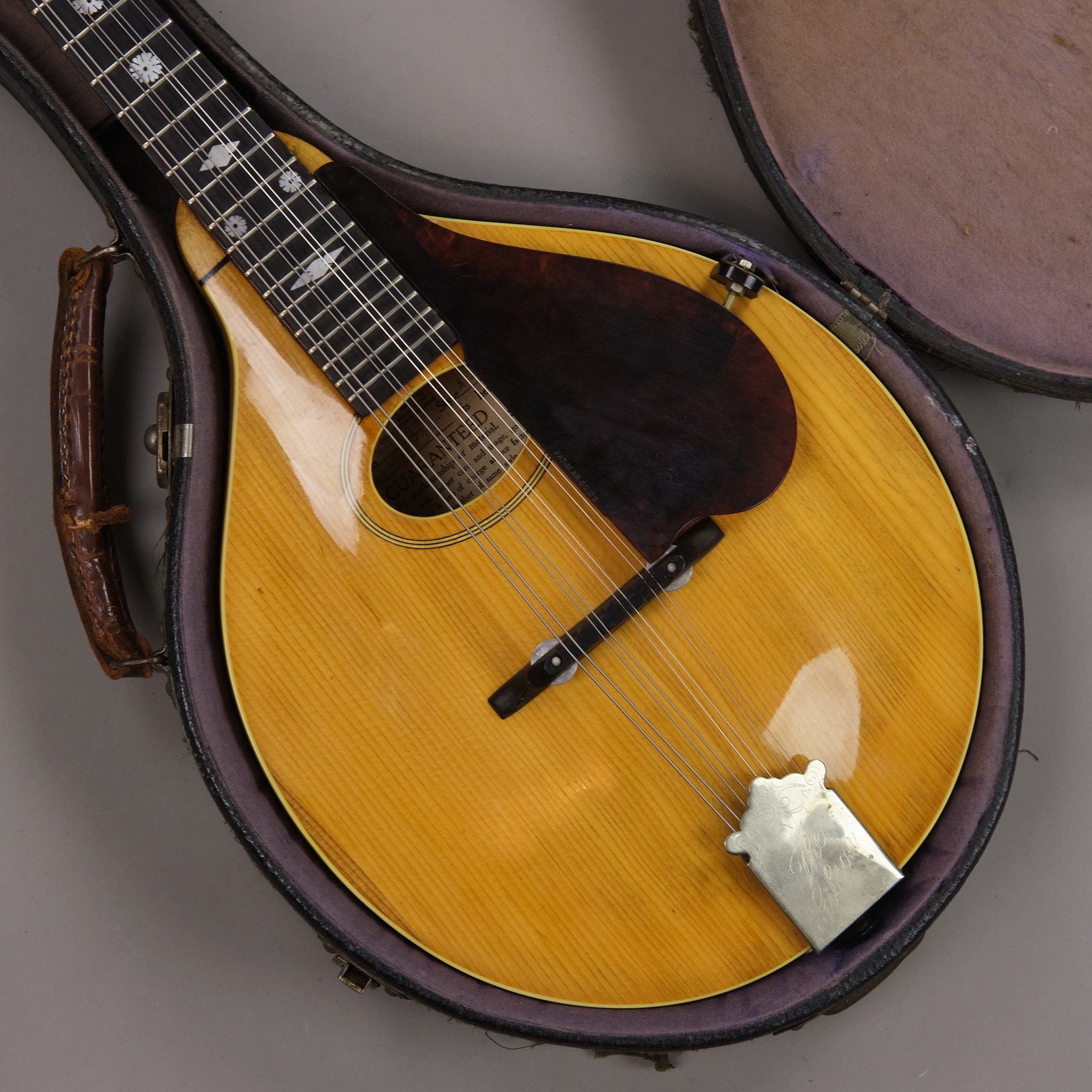 Vintage & Used (Fretted Instruments)